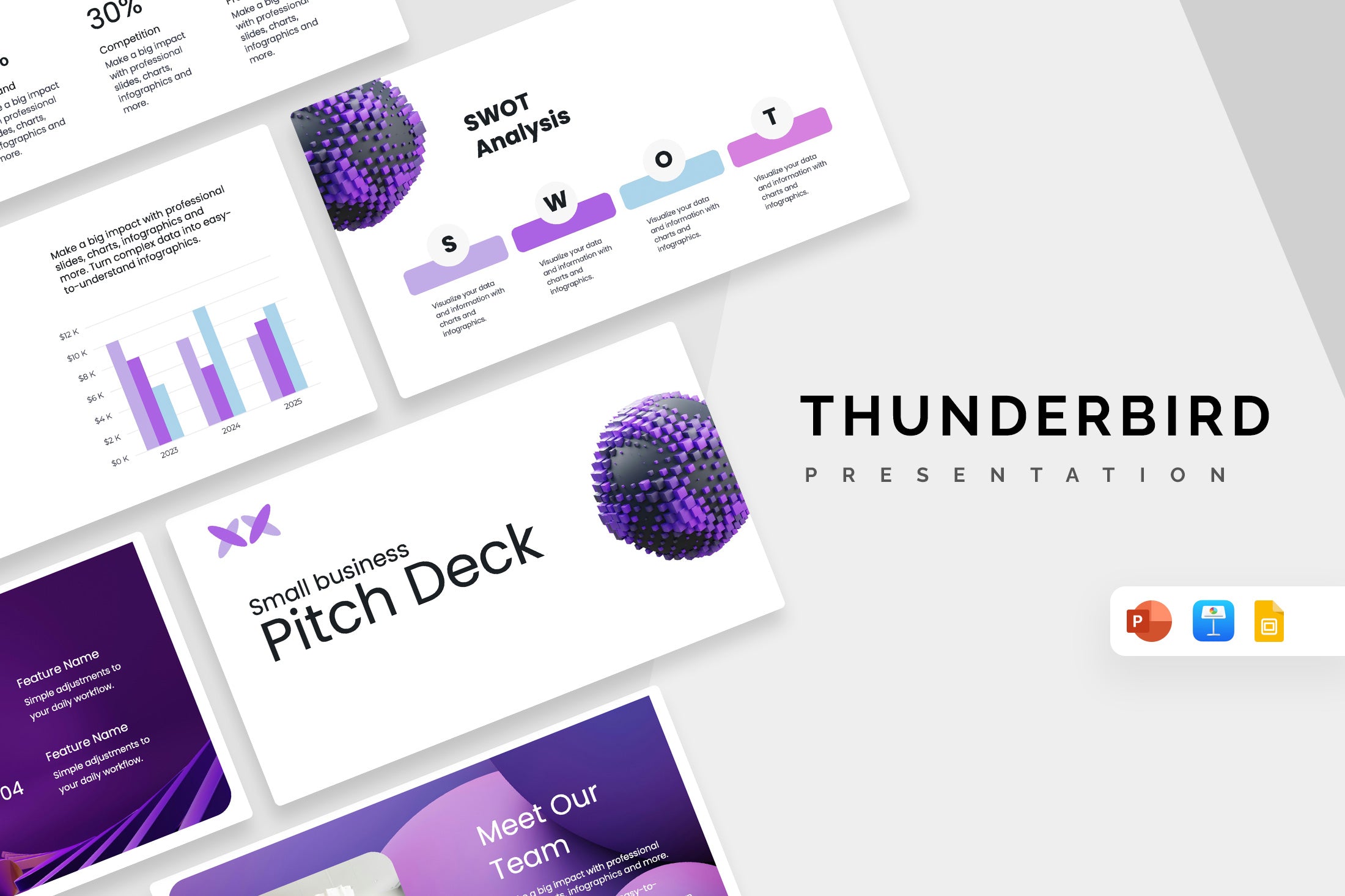 Thunderbird Small Business Pitch Deck Presentation – Slidewalla