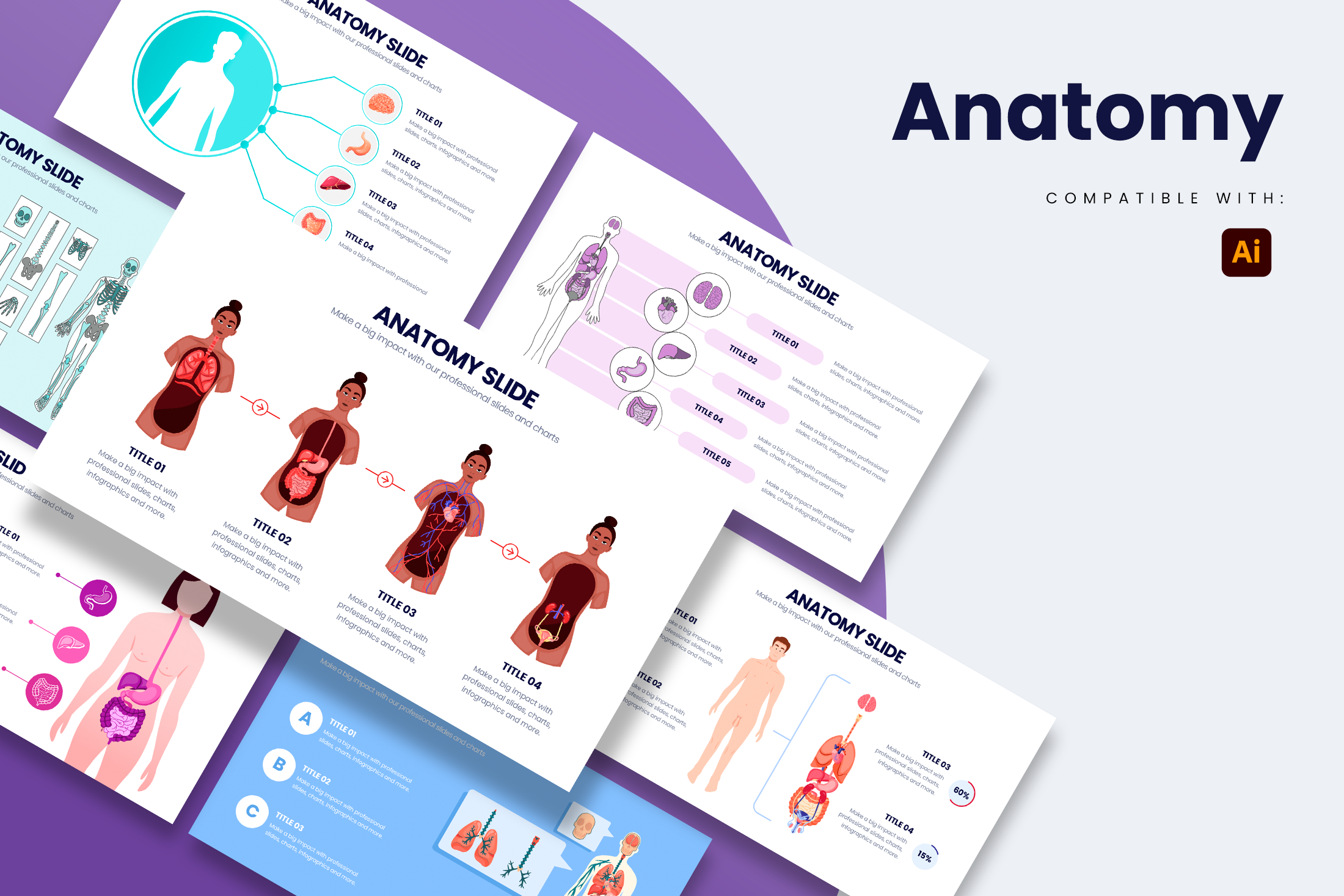 Anatomy Illustrator Infographic Template – Slidewalla