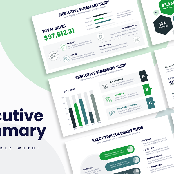 17 Best Executive Summary Infographics Images Executive How To